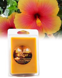 Hawaiian Ginger 6 Pack Soy Brick